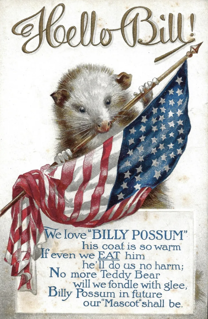 Billy Possum’s Postcards – Artist-Signed Postcards